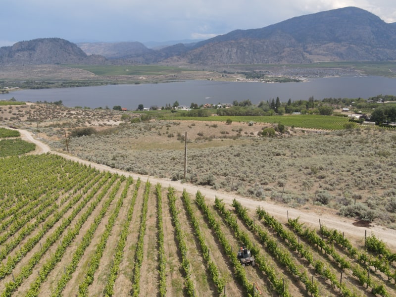 Team – Vintality Tech Inc.