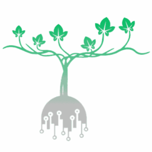 Vintality Tech Inc. - Tech + Terroir