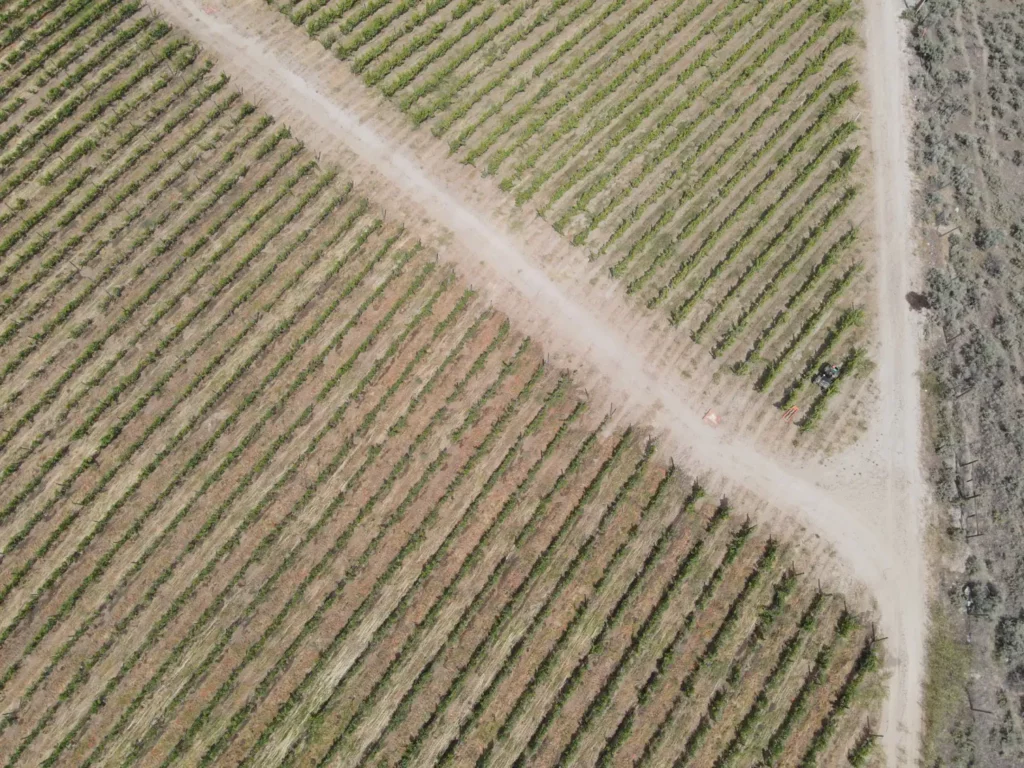 A Love Letter of Hard Truths, by Michael Kullman - Vintality Tech Inc.