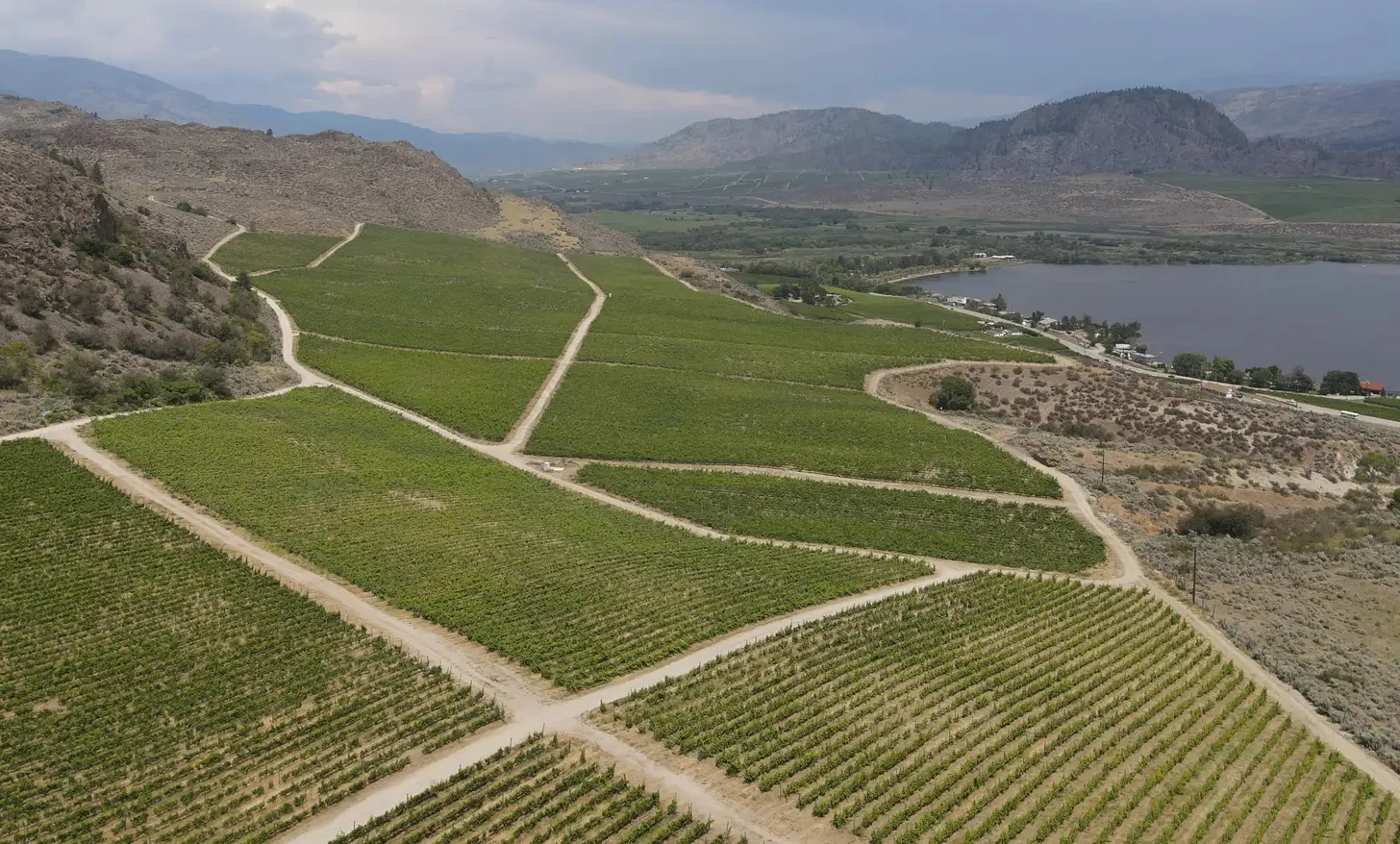 A Love Letter of Hard Truths, by Michael Kullman - Vintality Tech Inc.