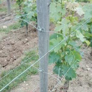 Canopy Spreaders (All Posts) - Vintality Tech Inc.