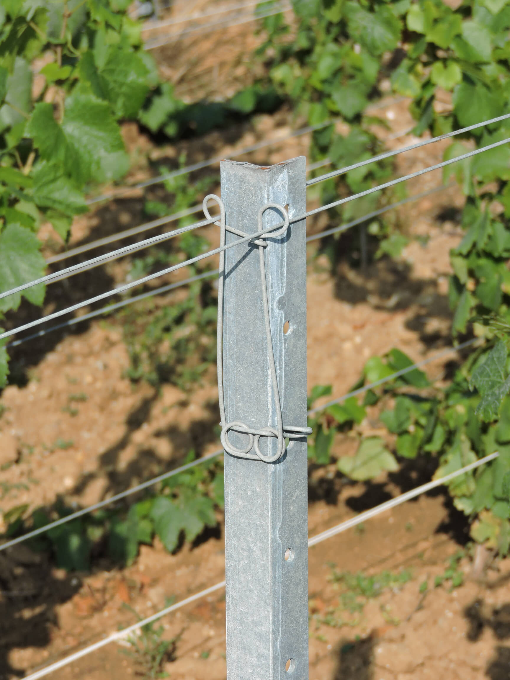 Canopy Spreaders (All Posts) - Vintality Tech Inc.