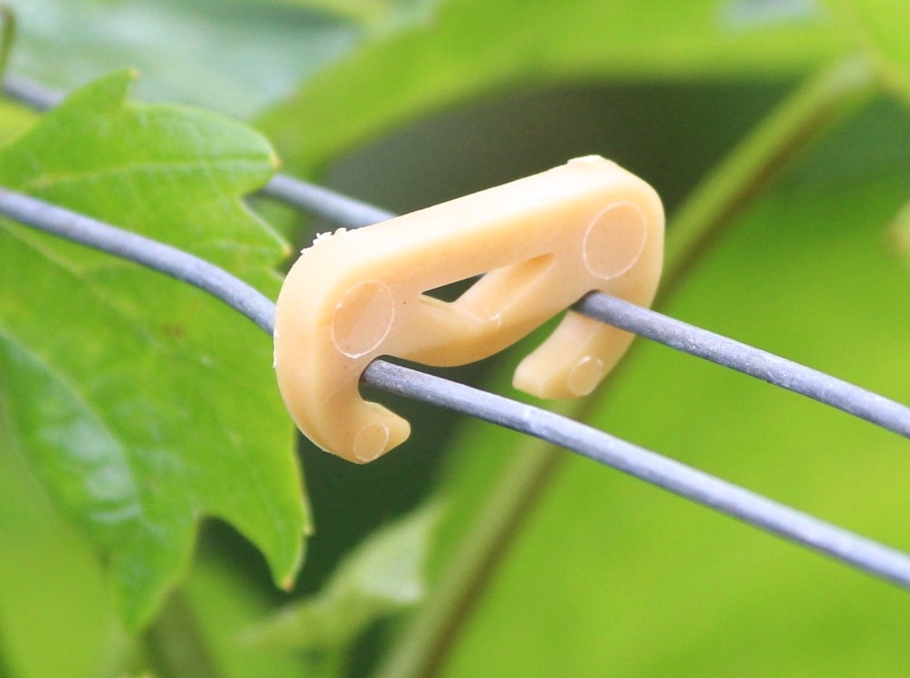 Biodegradable Wire Clips (Corn) - Vintality Tech Inc.